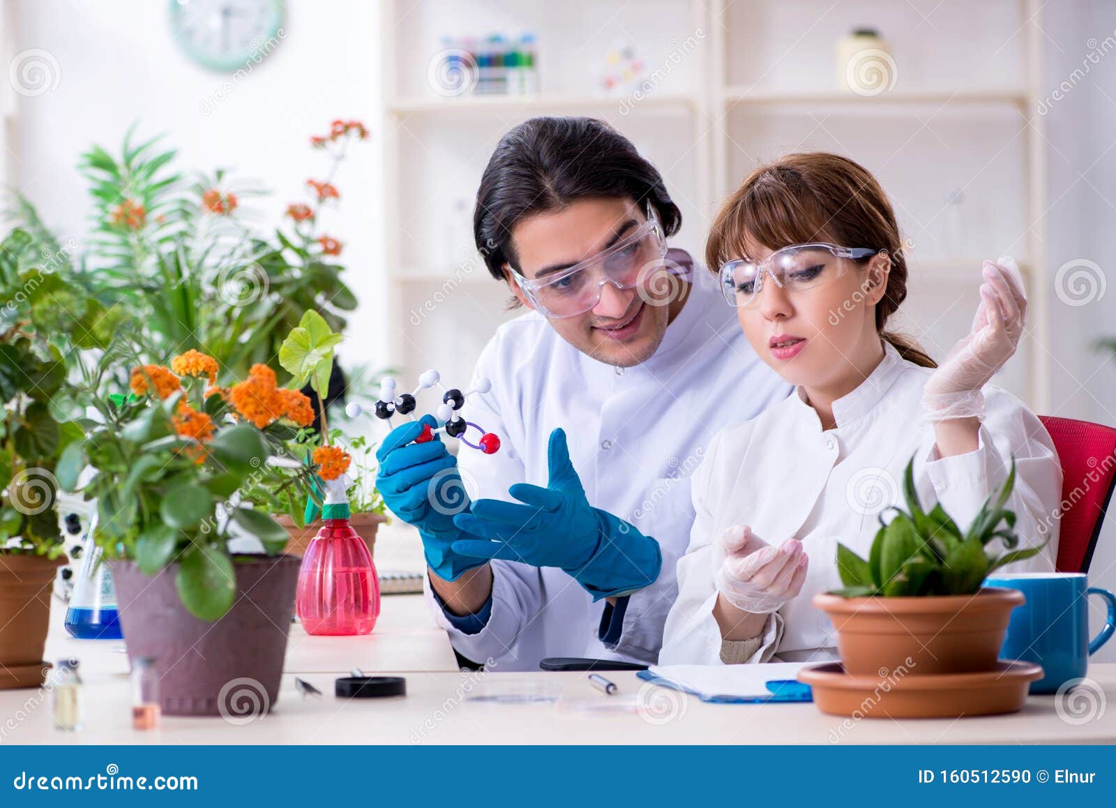 Two Young Botanist Working in the Lab Stock Photo - Image of flowers ...