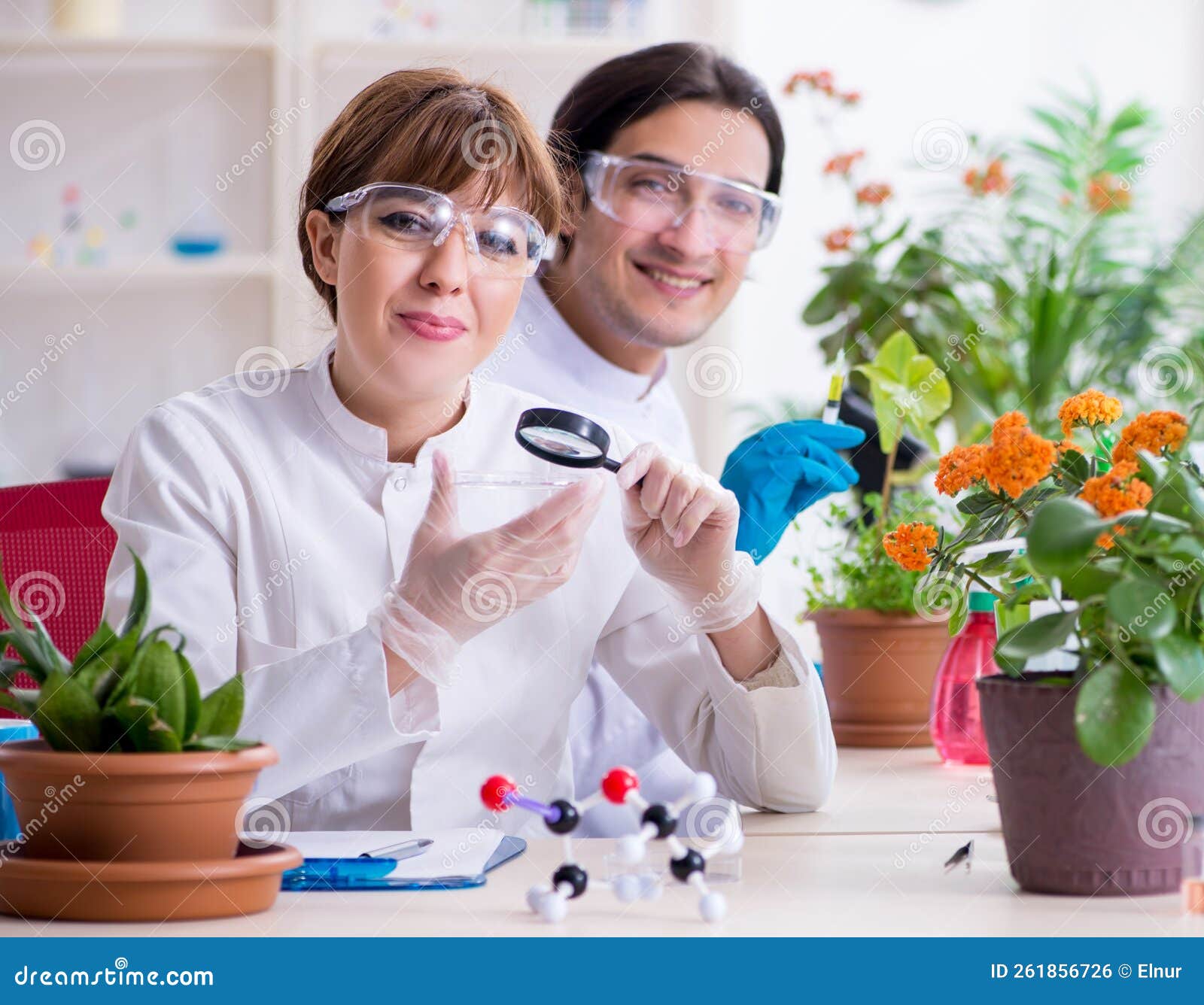Two Young Botanist Working in the Lab Stock Photo - Image of ...