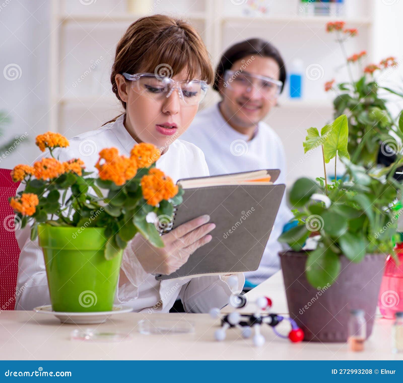 Two Young Botanist Working in the Lab Stock Photo - Image of plant ...