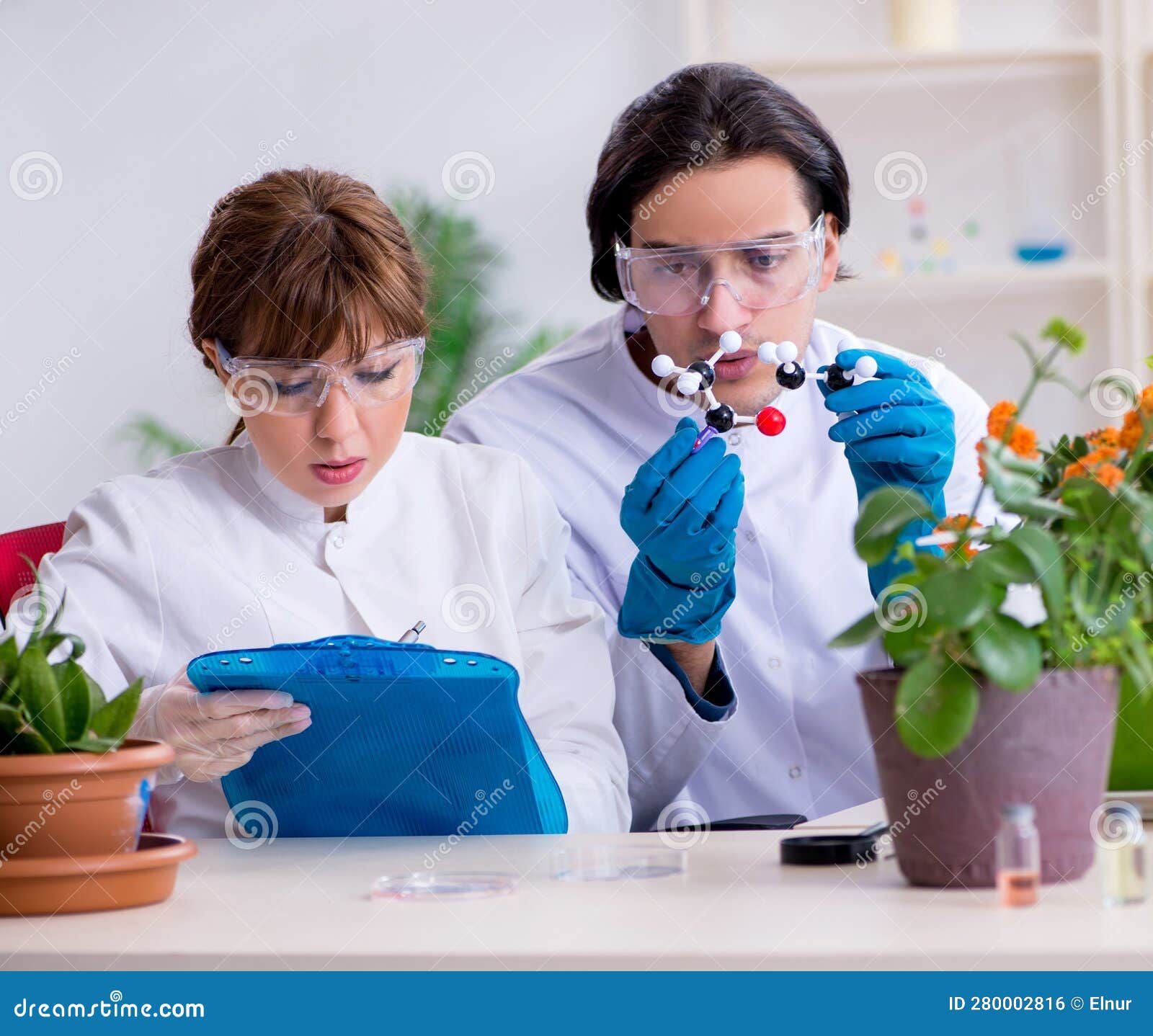 Two Young Botanist Working in the Lab Stock Photo - Image of botanist ...