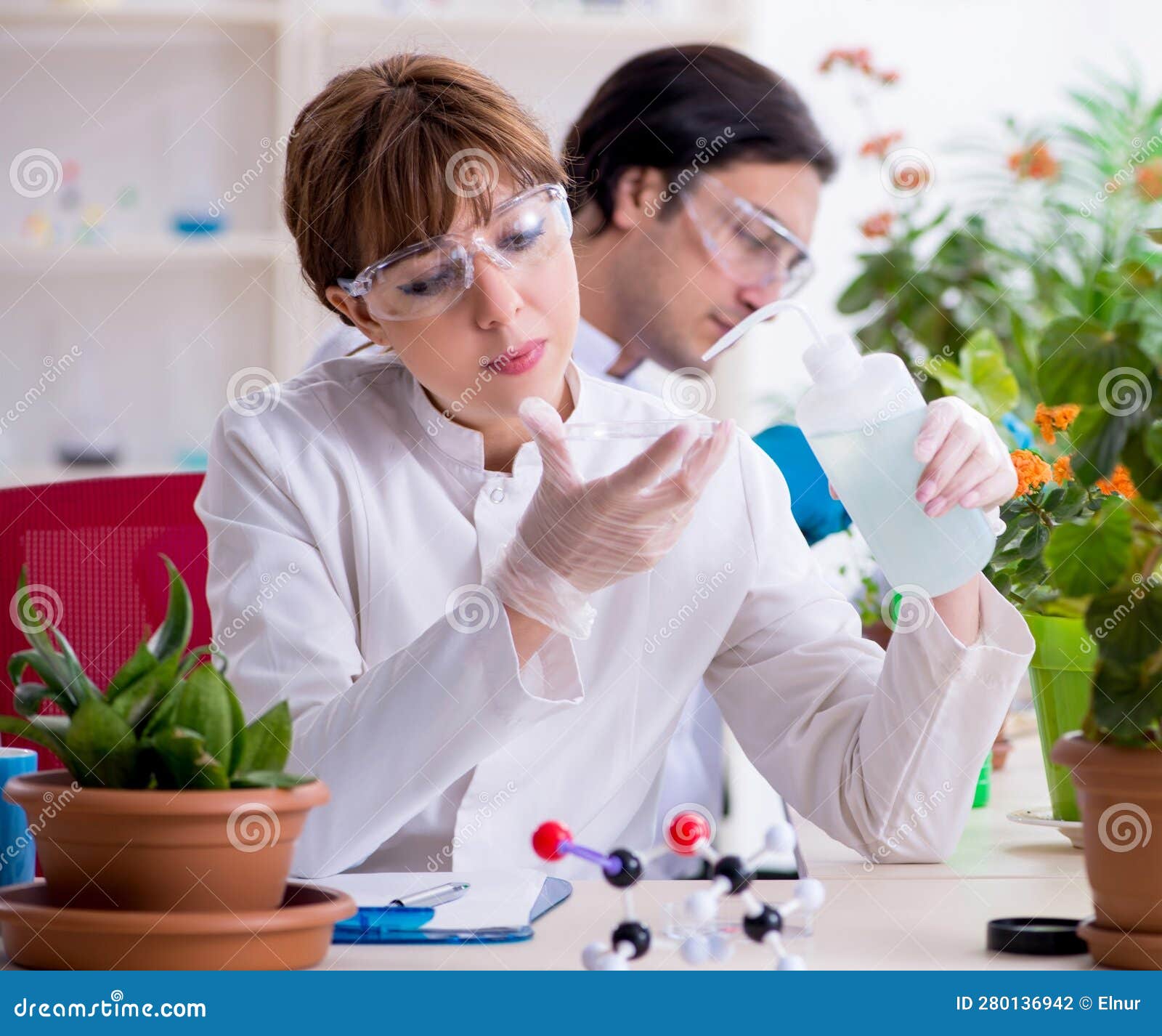Two Young Botanist Working in the Lab Stock Photo - Image of ...