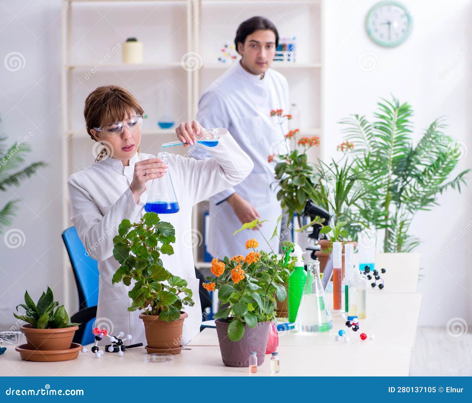 Two Young Botanist Working in the Lab Stock Image - Image of ...