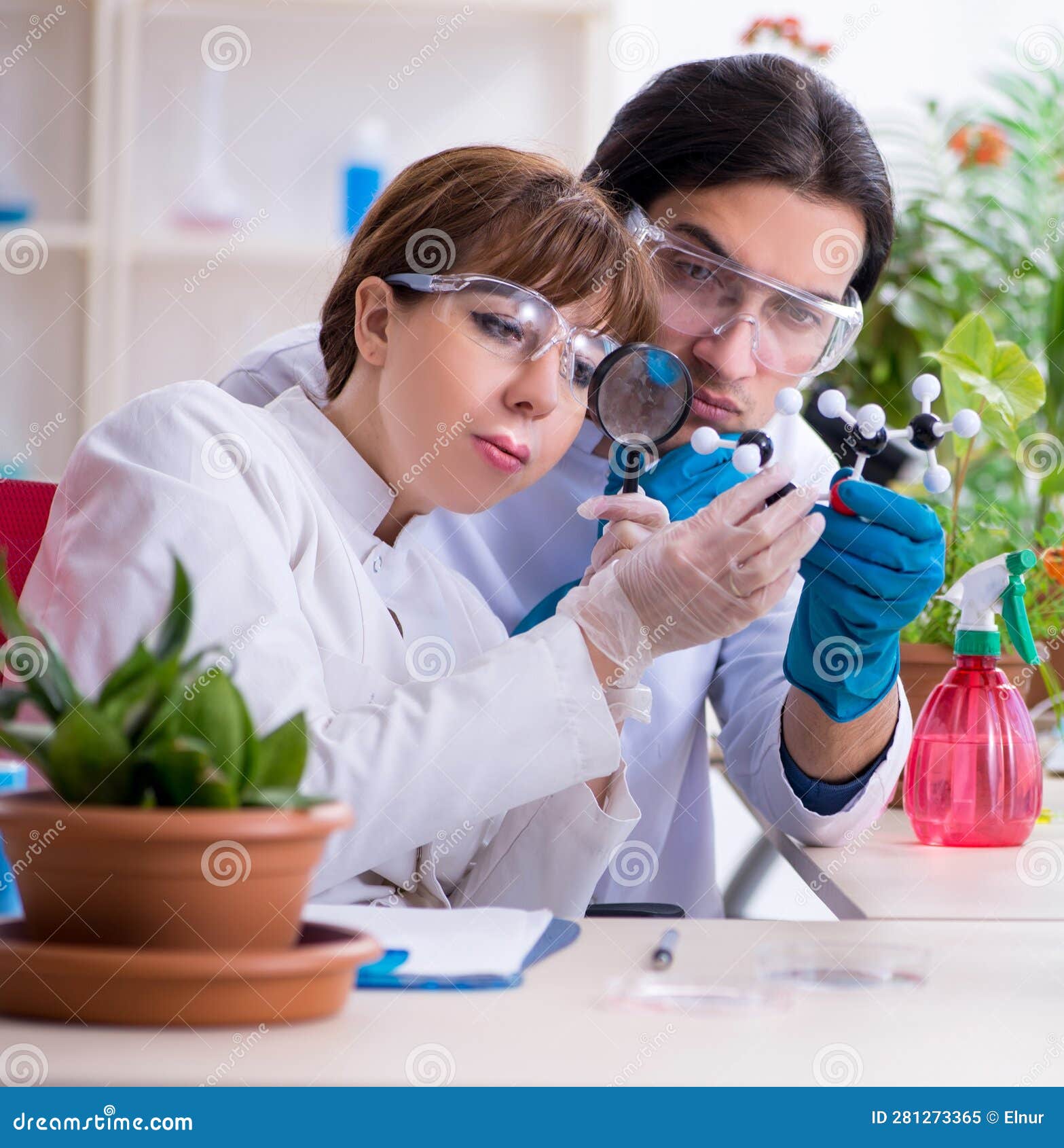Two Young Botanist Working in the Lab Stock Image - Image of magnifying ...
