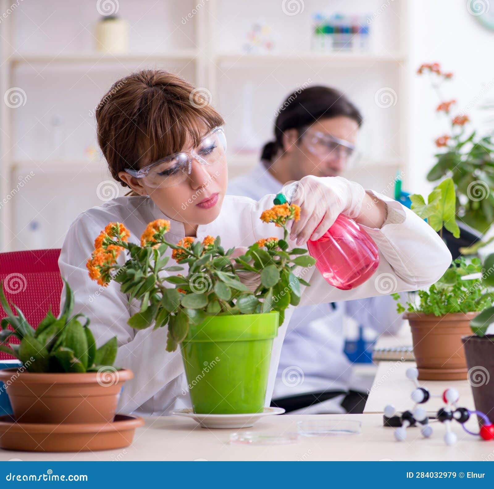 Two Young Botanist Working in the Lab Stock Image - Image of green ...