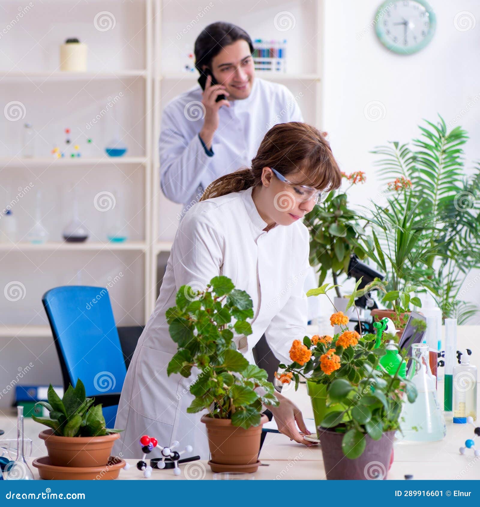 Two Young Botanist Working in the Lab Stock Image - Image of planting ...