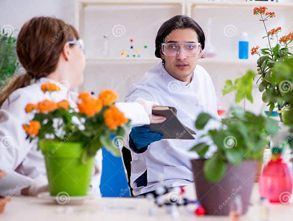 Two Young Botanist Working in the Lab Stock Photo - Image of botany ...