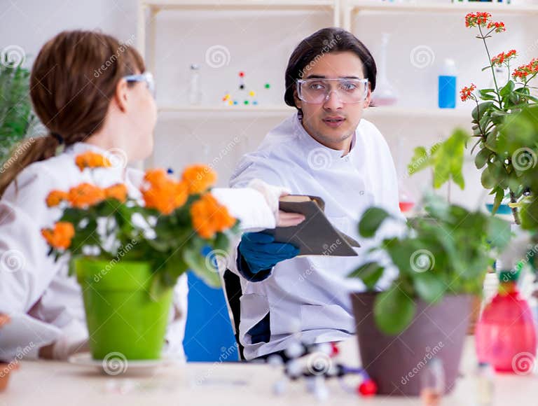 Two Young Botanist Working in the Lab Stock Photo - Image of botany ...