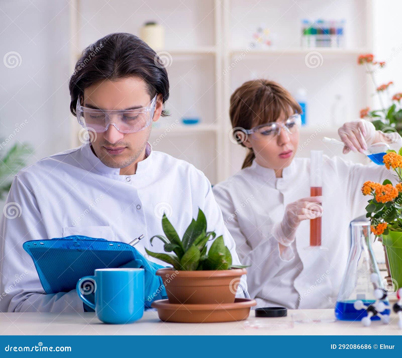 Two Young Botanist Working in the Lab Stock Photo - Image of green ...