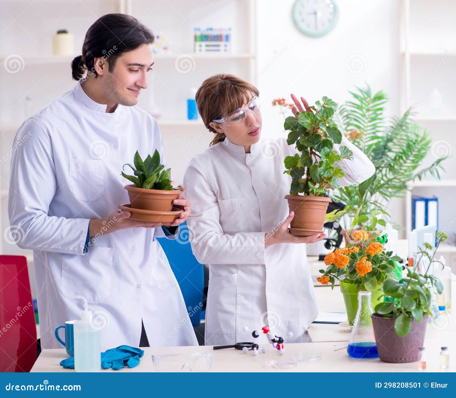 Two Young Botanist Working in the Lab Stock Image - Image of ...