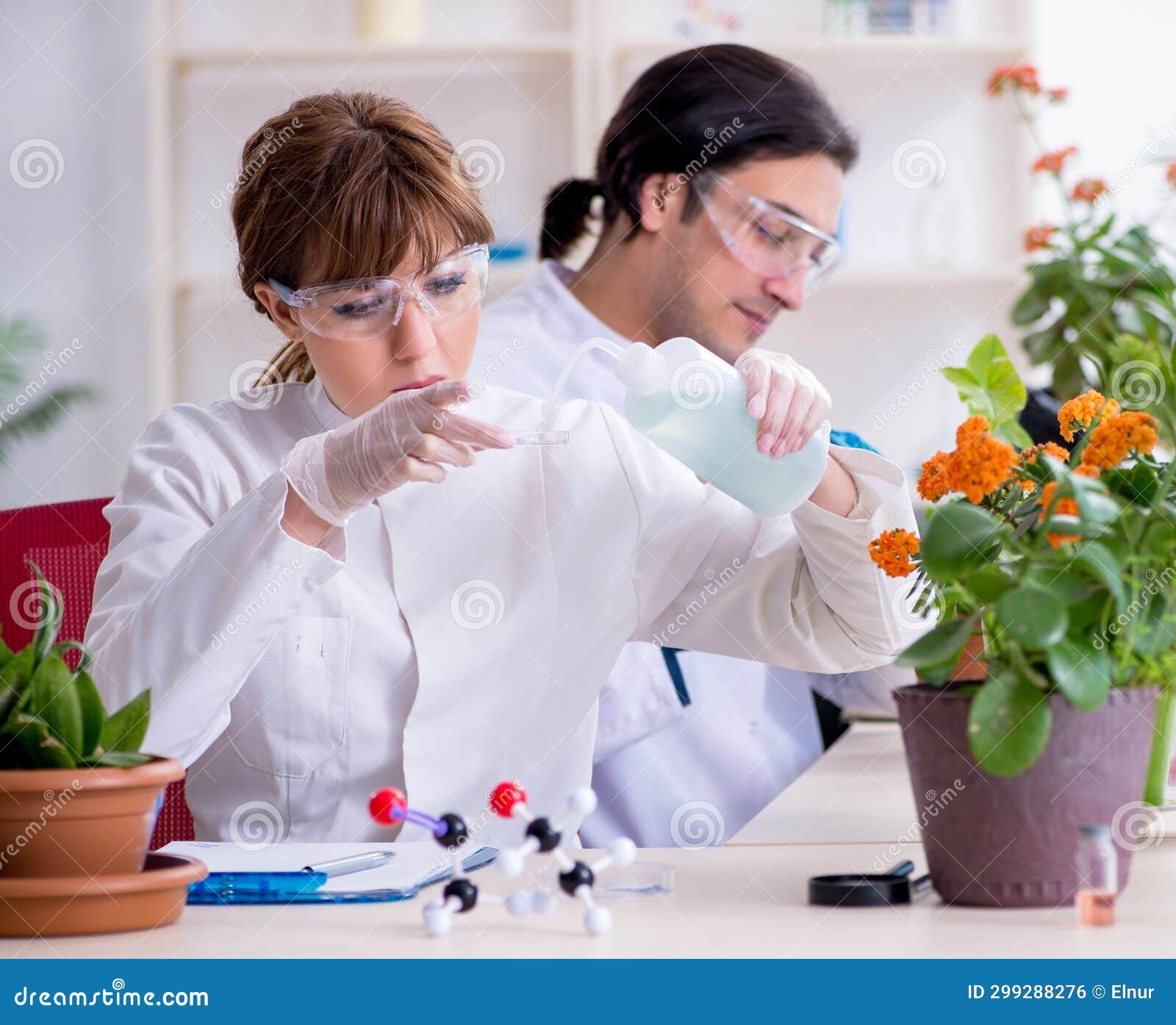 Two Young Botanist Working in the Lab Stock Photo - Image of ...