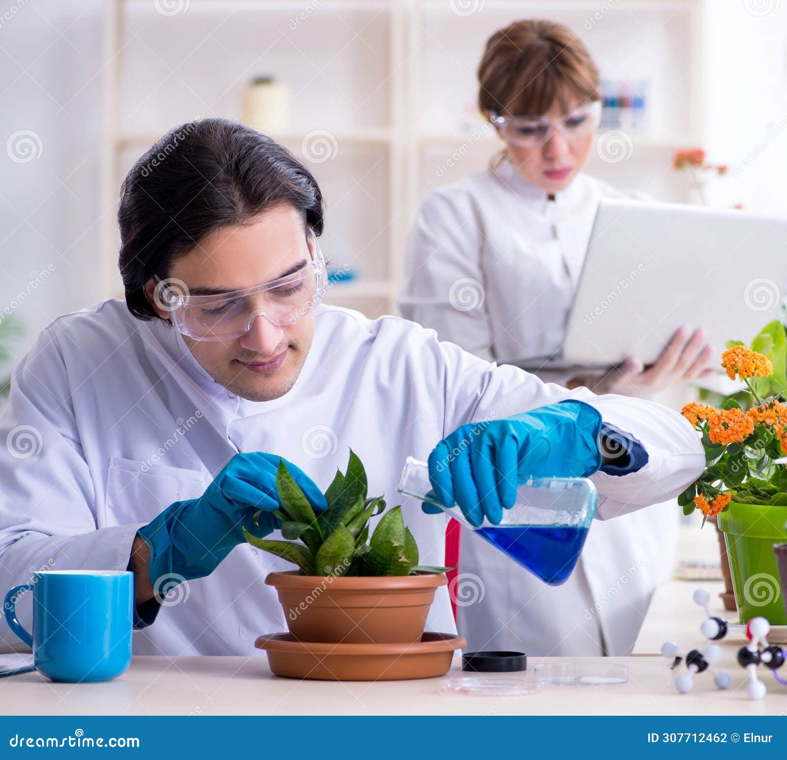 Two Young Botanist Working in the Lab Stock Photo - Image of potted ...