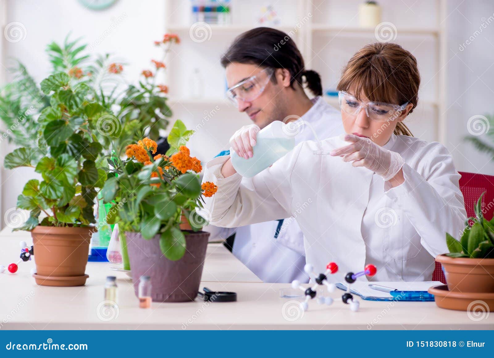 Two Young Botanist Working in the Lab Stock Photo - Image of glass ...