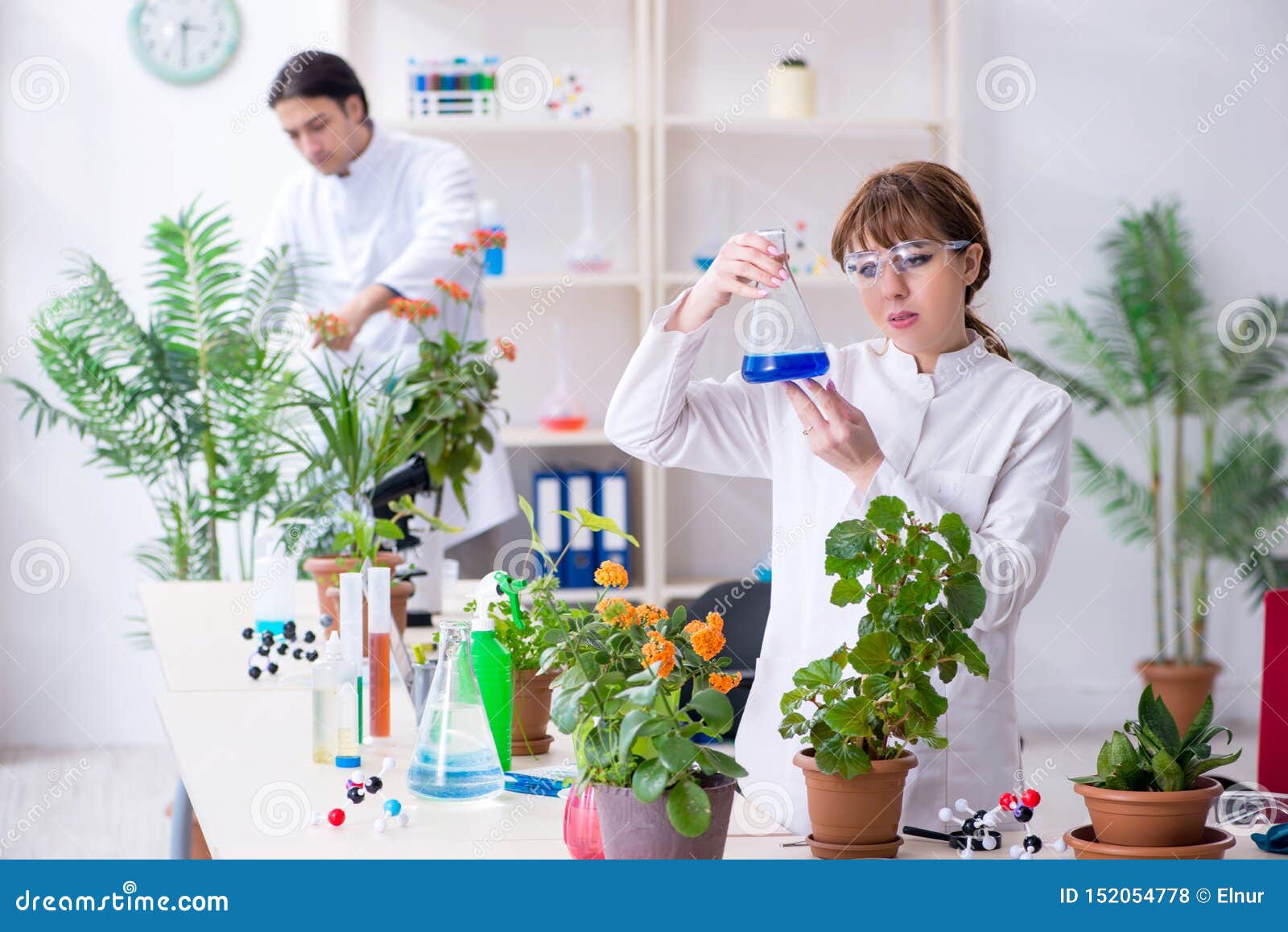 Two Young Botanist Working in the Lab Stock Photo - Image of ...