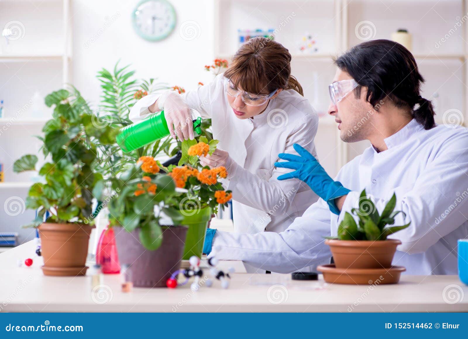 Two Young Botanist Working in the Lab Stock Photo - Image of botanist ...