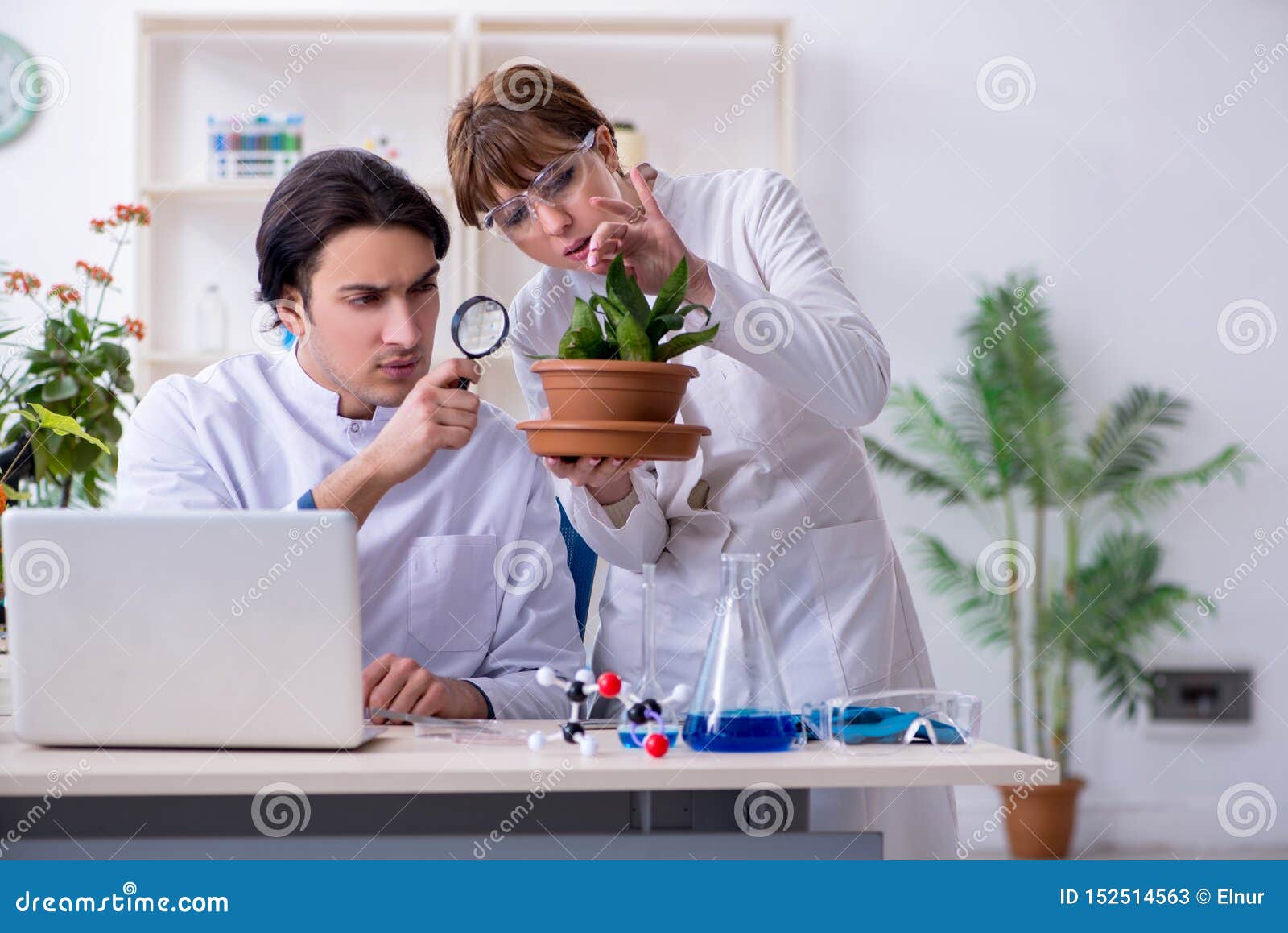Two Young Botanist Working in the Lab Stock Image - Image of growing ...