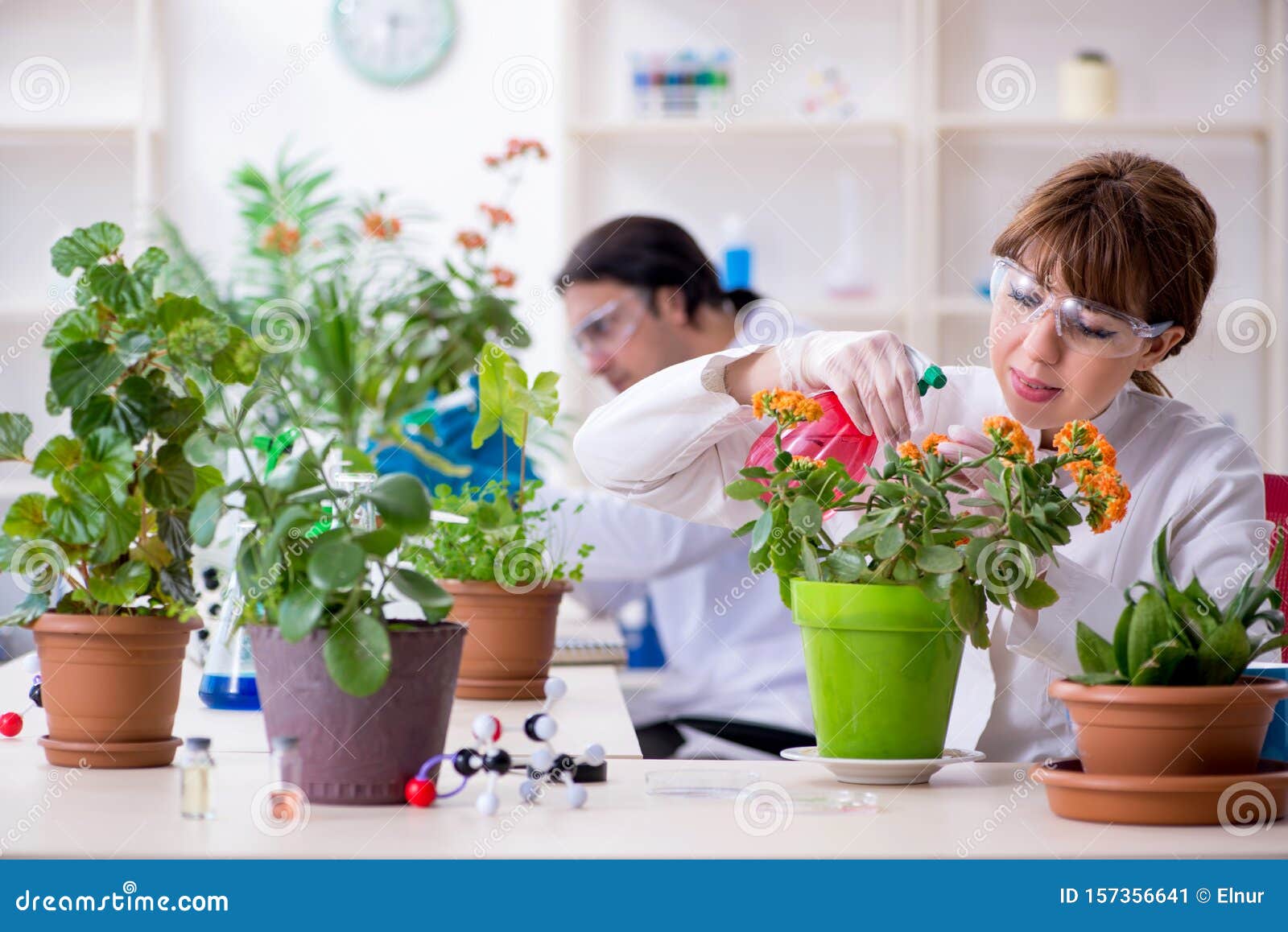 Two Young Botanist Working in the Lab Stock Image - Image of chemical ...