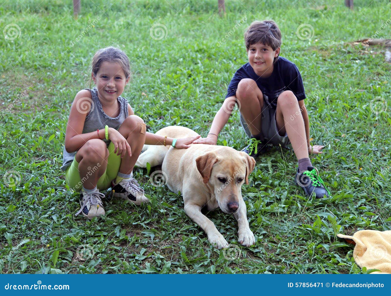 Two Young Brothers Play with the Labrador Retriever Stock Image - Image ...