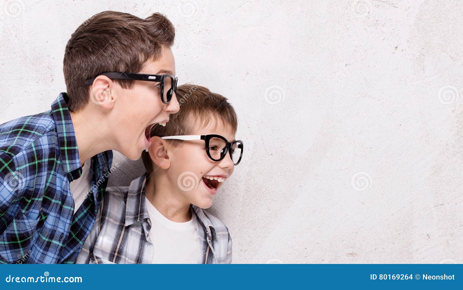 Two young brothers posing. stock photo. Image of infant - 80169264