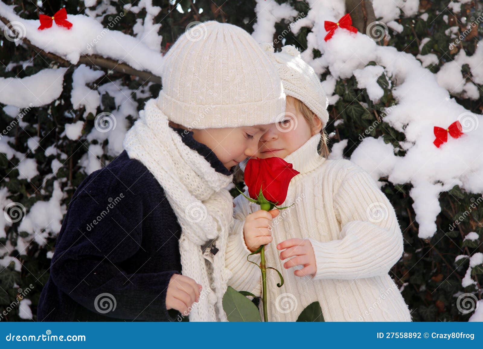 Two Young Children with Red Rose Stock Photo - Image of feeling, flower ...