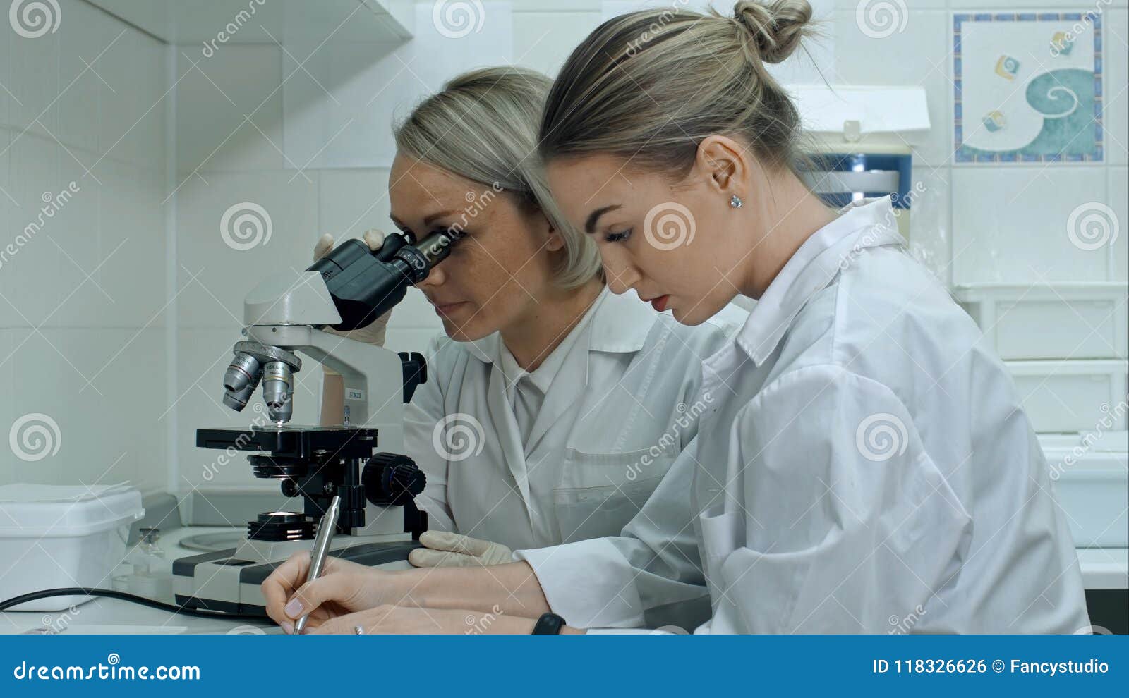 Two Young Female Scientists Writes Report in Modern Laboratory, Using ...