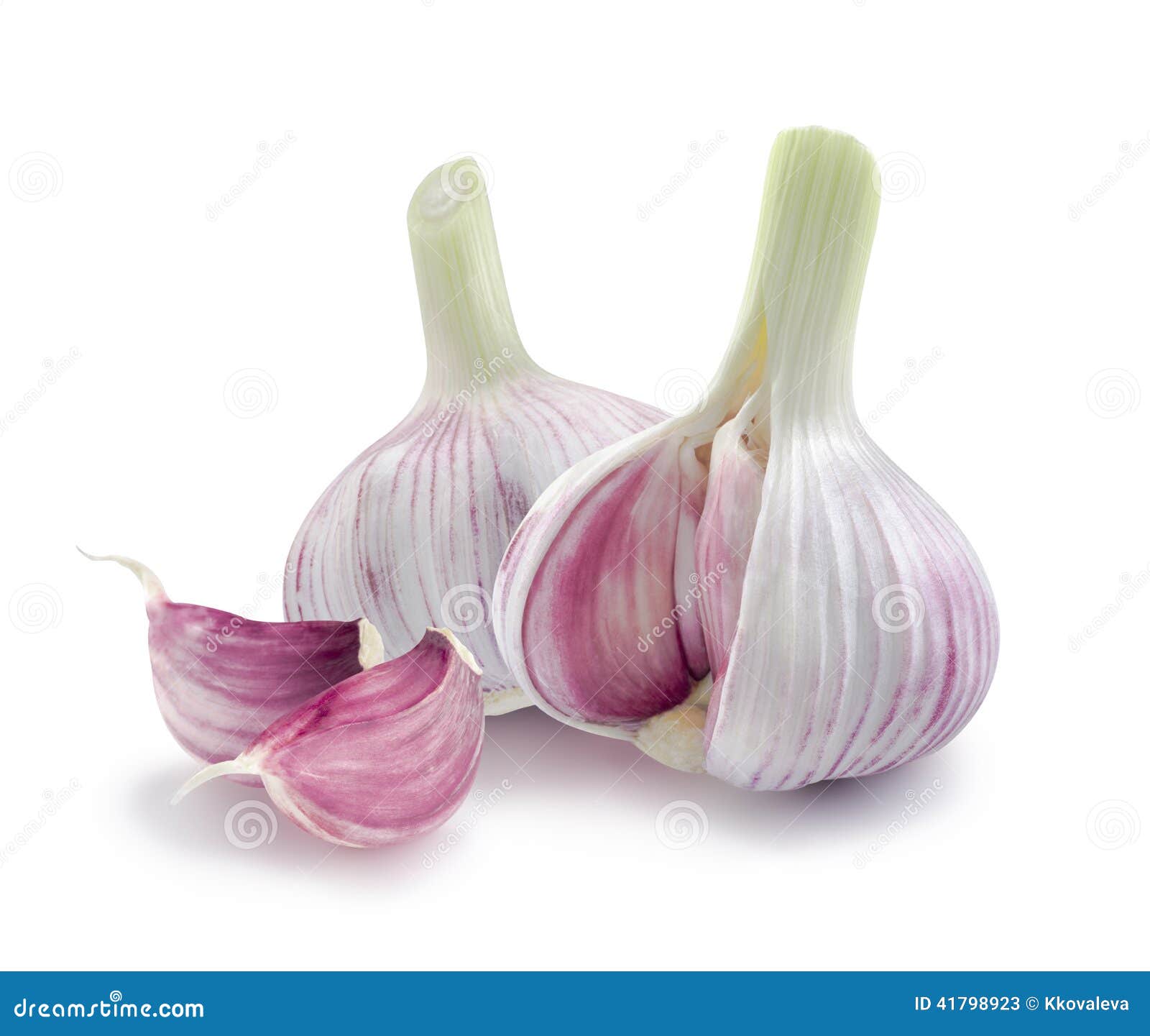 White Garlic Pile Texture Stock Photography | CartoonDealer.com #153972302