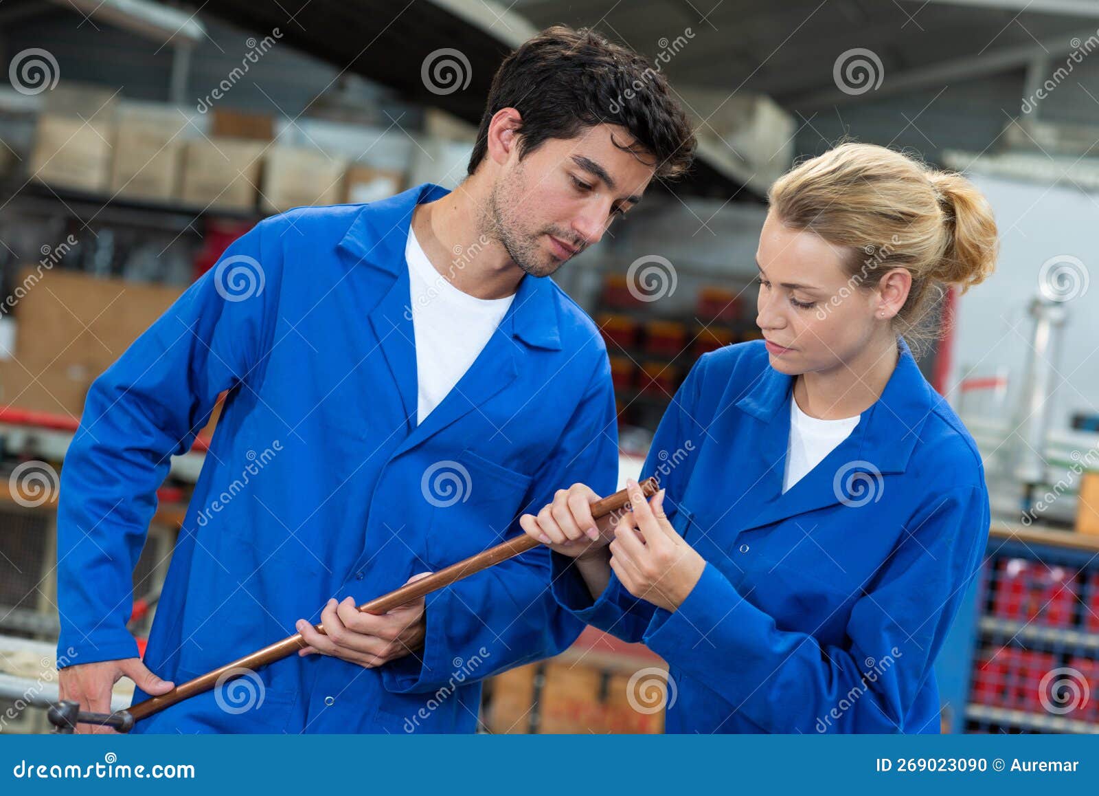 Two Young Manual Workers Inspecting Copper Pipe Stock Photo - Image of ...