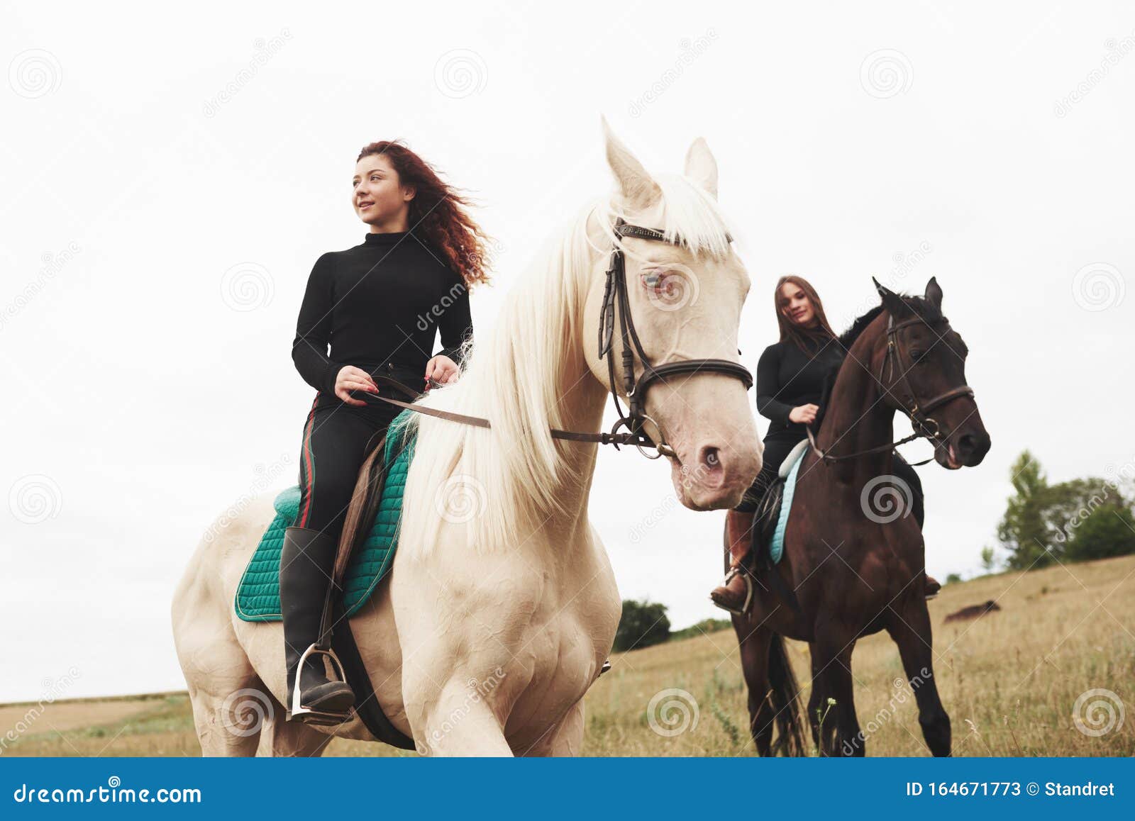 Two Young Pretty Girls Riding a Horses on a Field. they Loves Animals ... Two Young Pretty Girls Riding a Horses on a Field. they Loves Animals ...