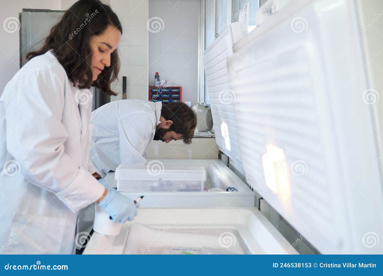 Two Young Researchers Storing Samples in the Laboratory Freezer. Stock ...