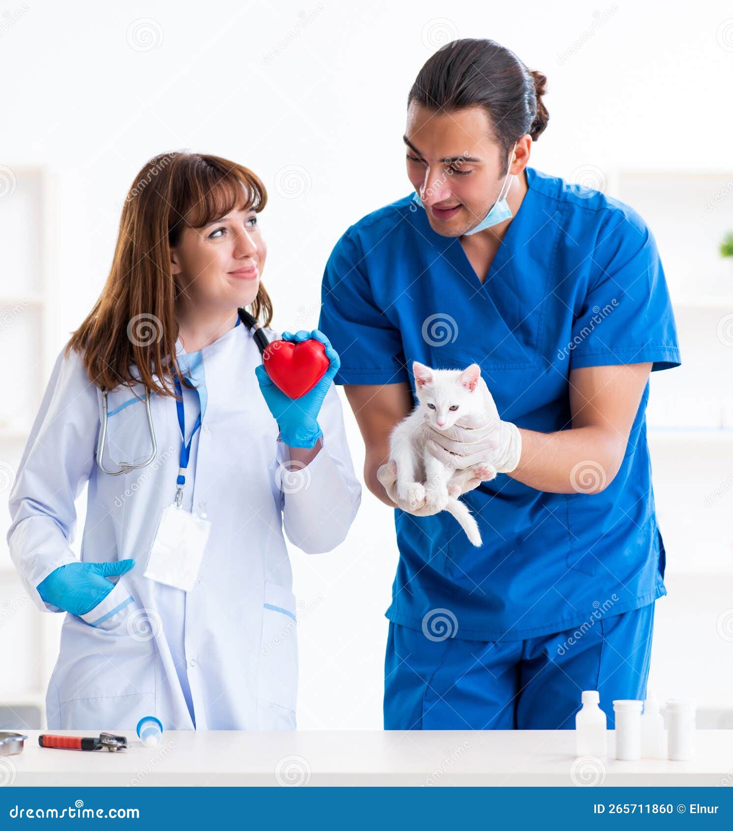 Two Young Vet Doctors Examining Sick Cat Stock Photo - Image of holding ...