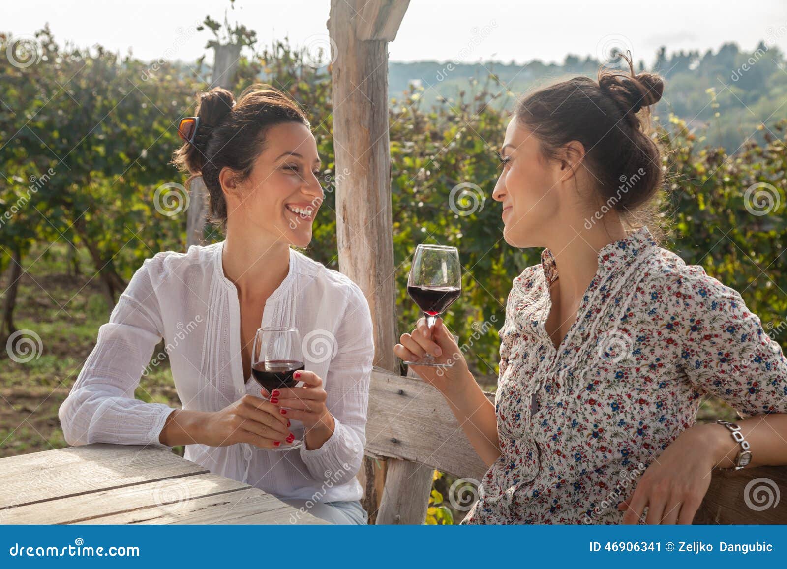 Two Young Women Drinking Wine Stock Image - Image of stem, countryside ...