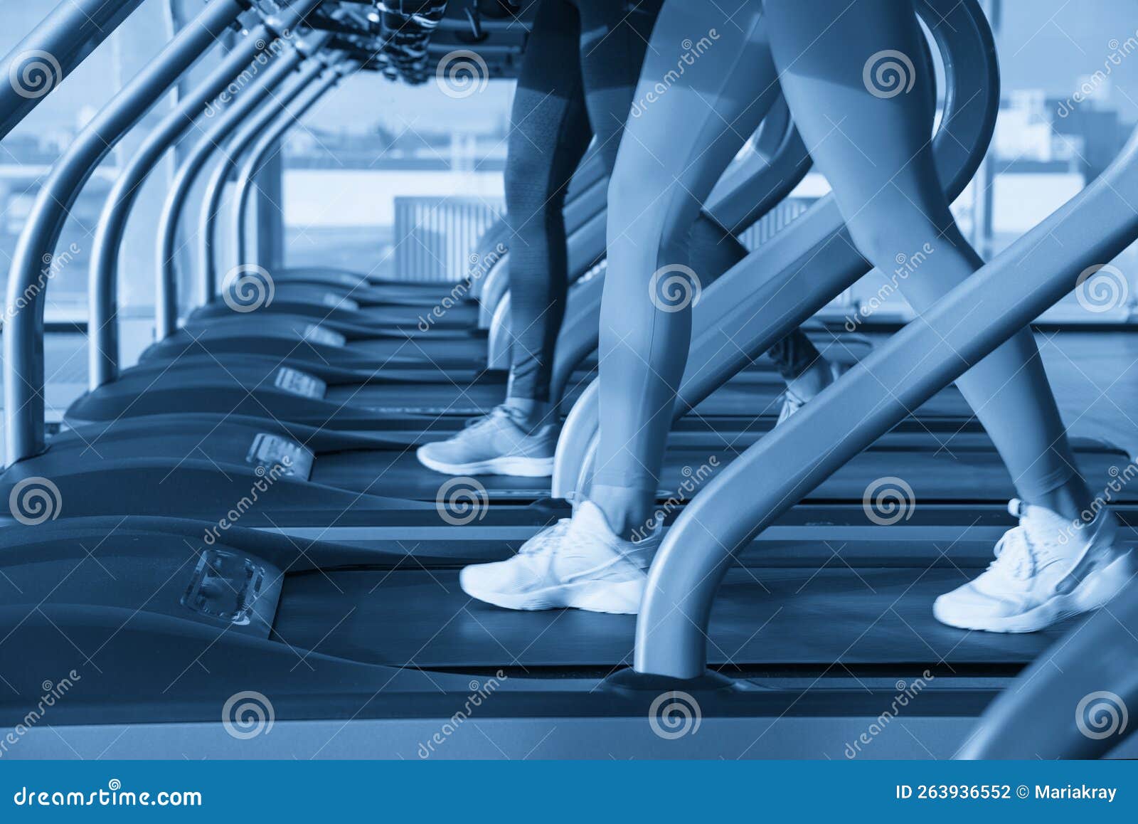 Two Young Women Running on Treadmill in Gym Stock Photo - Image of ...