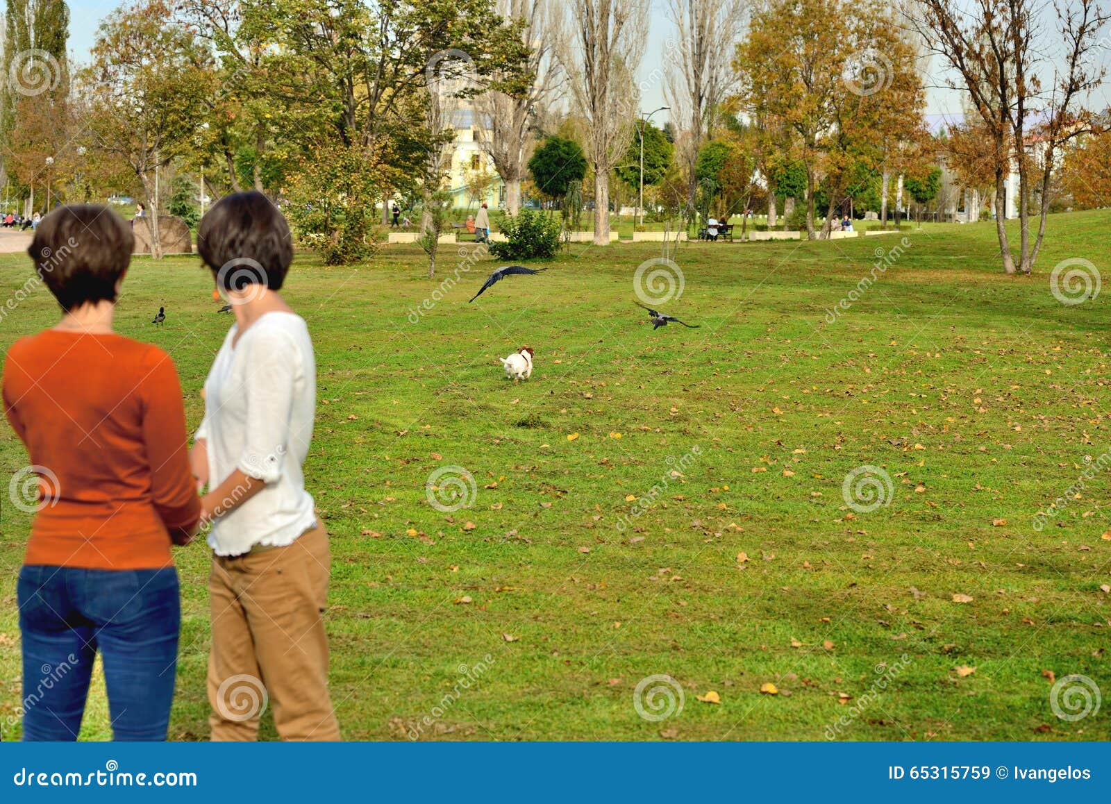 Two Young Women Watching a Dog Play with Crows. Stock Image - Image of ...
