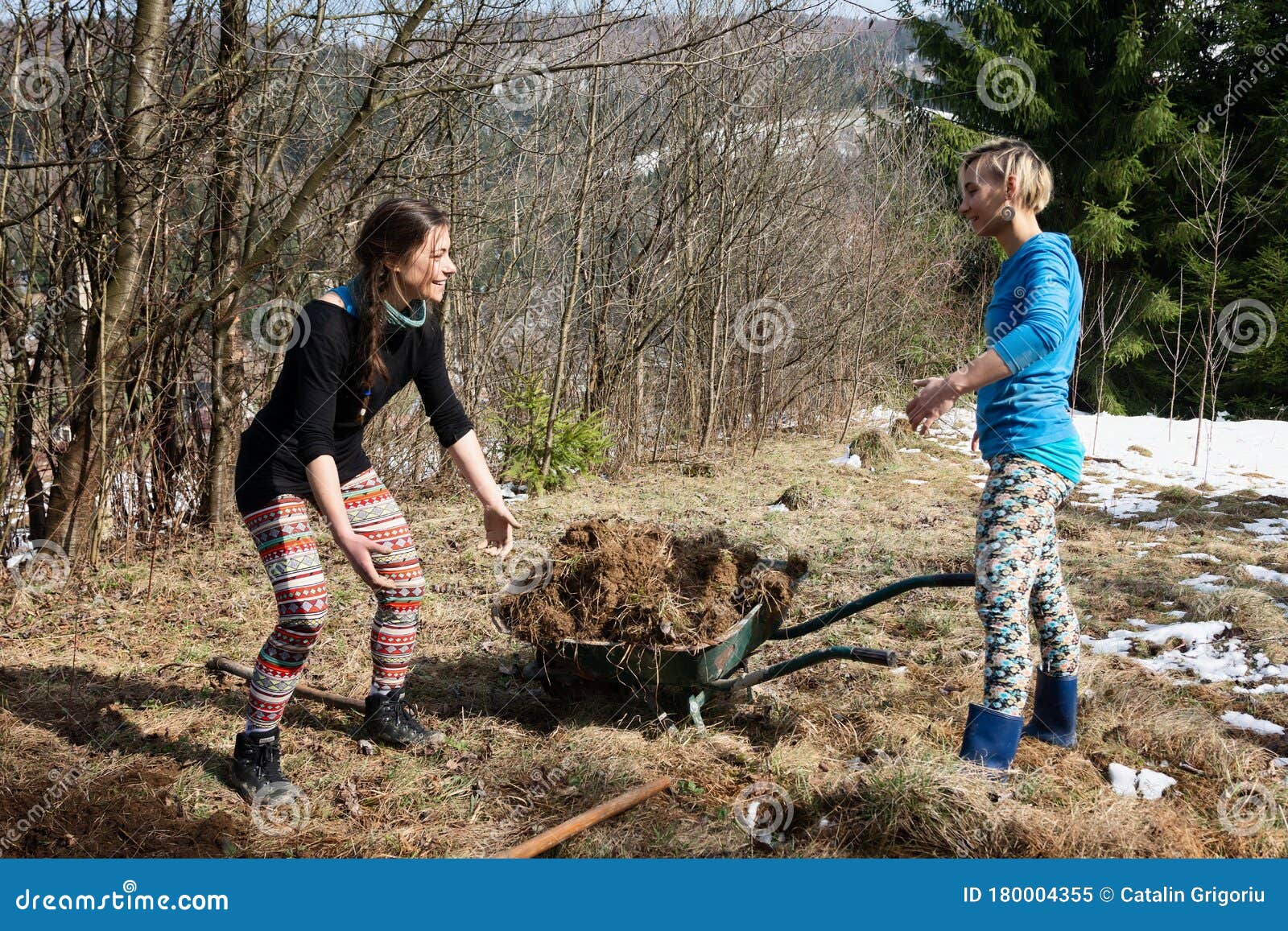 Two Young Women Working the Land on an Idyllic Farm Stock Image - Image ...