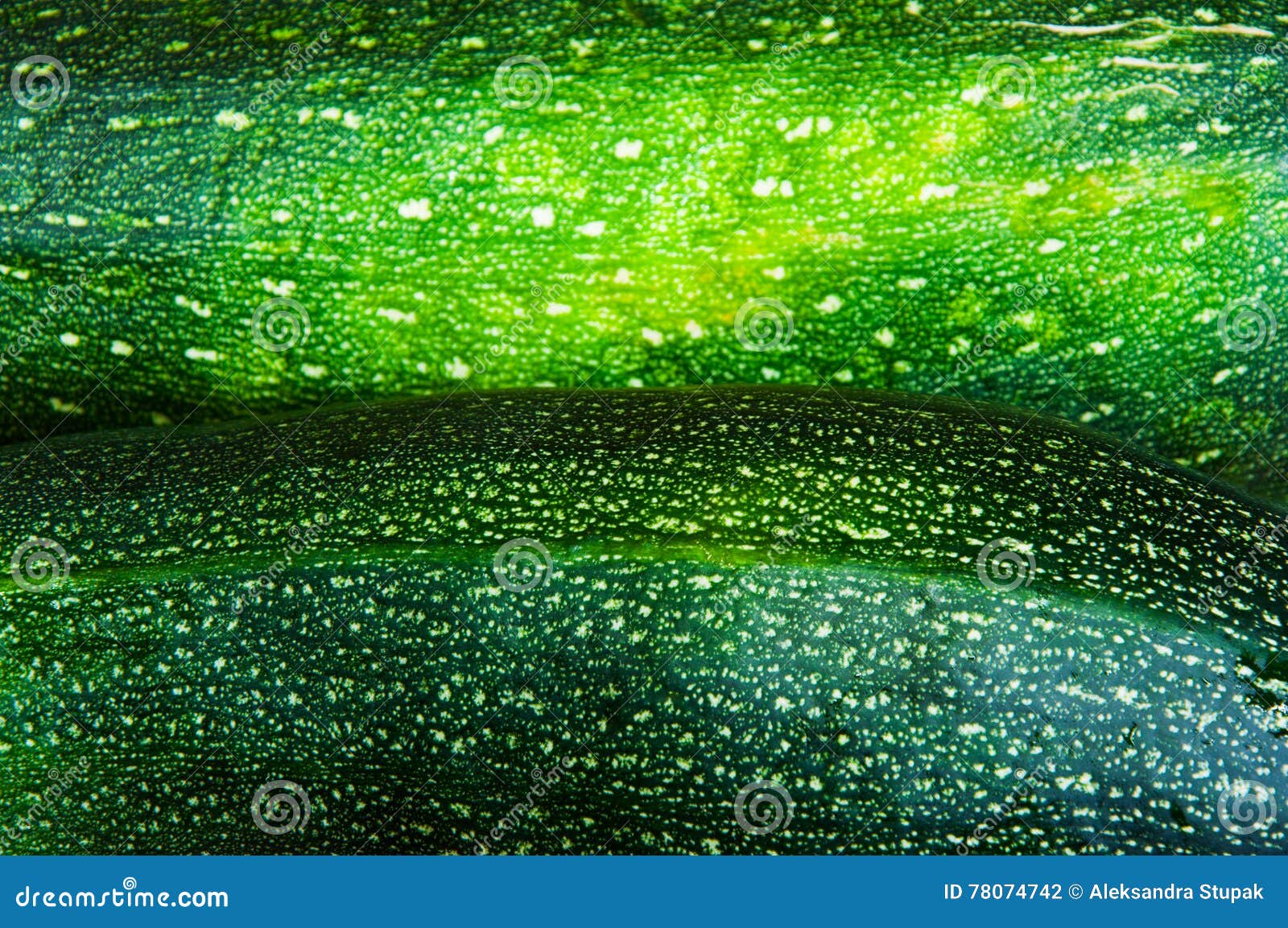 Two zucchini background stock photo. Image of food, ingredient - 78074742