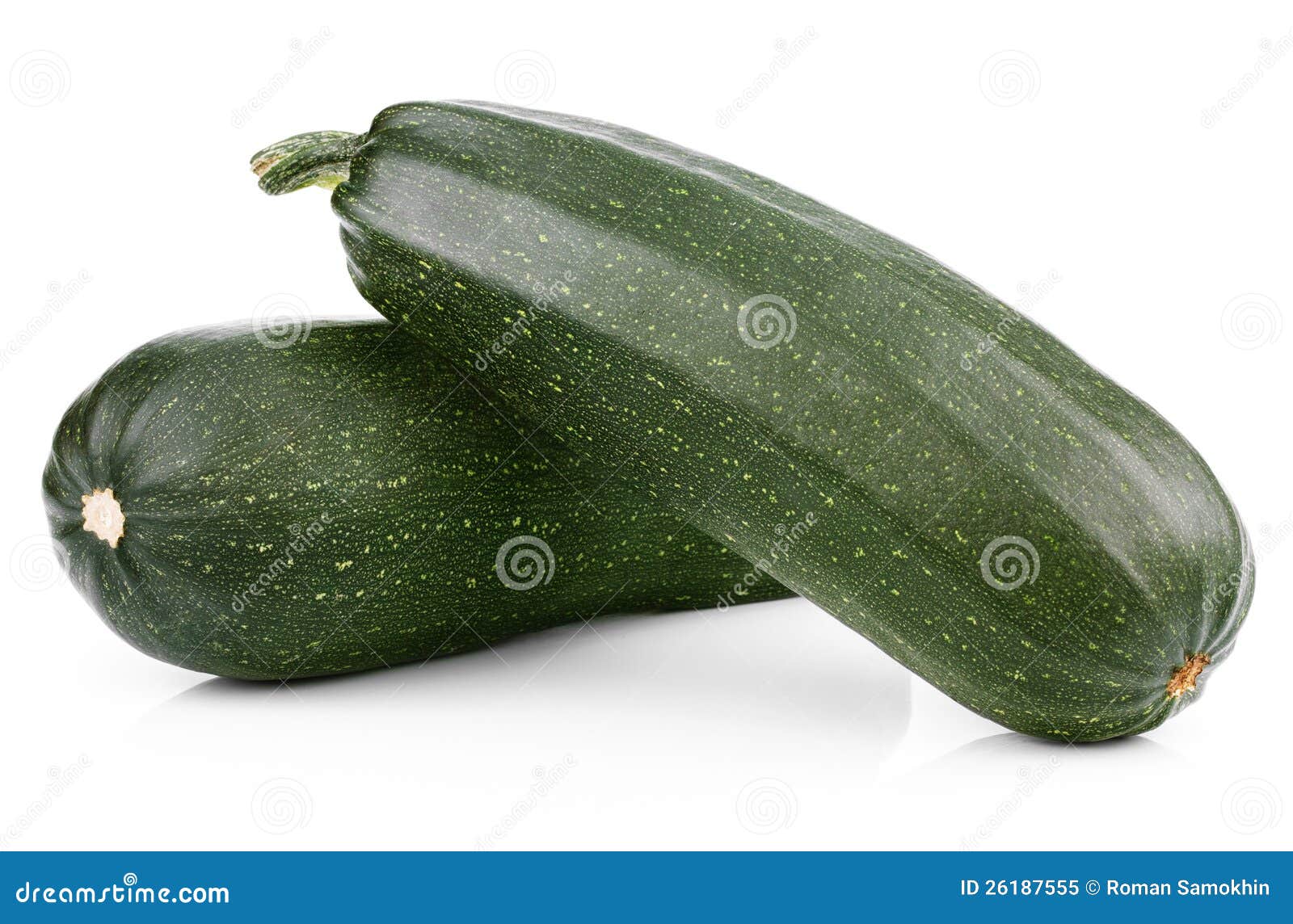 Two zucchini on white stock image. Image of food, cabbage - 26187555