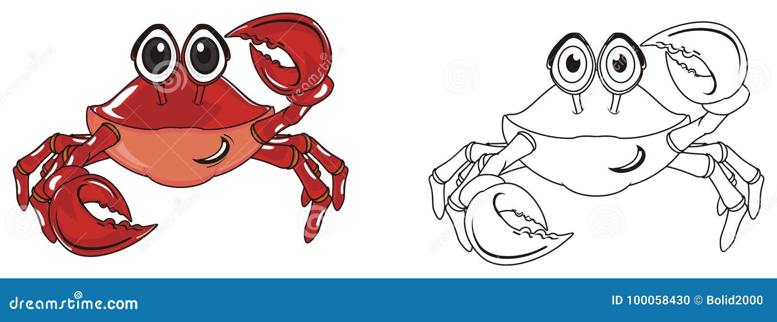 Different Crabs As Decapod Crustaceans With Claws Vector Set ...