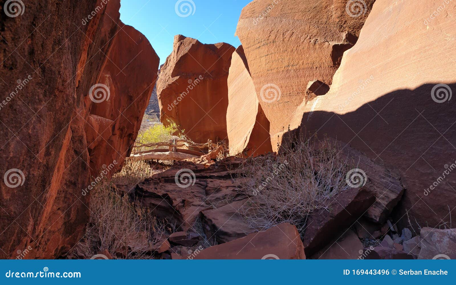 Twyfelfontein, Namibia stock photo. Image of petroglyphs - 169443496