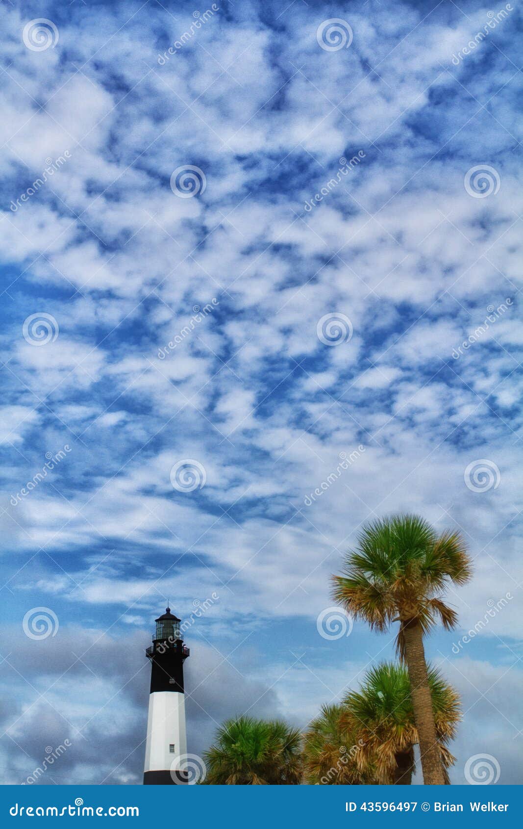 Tybee Island Light House stock image. Image of tree, sidewalk - 43596497