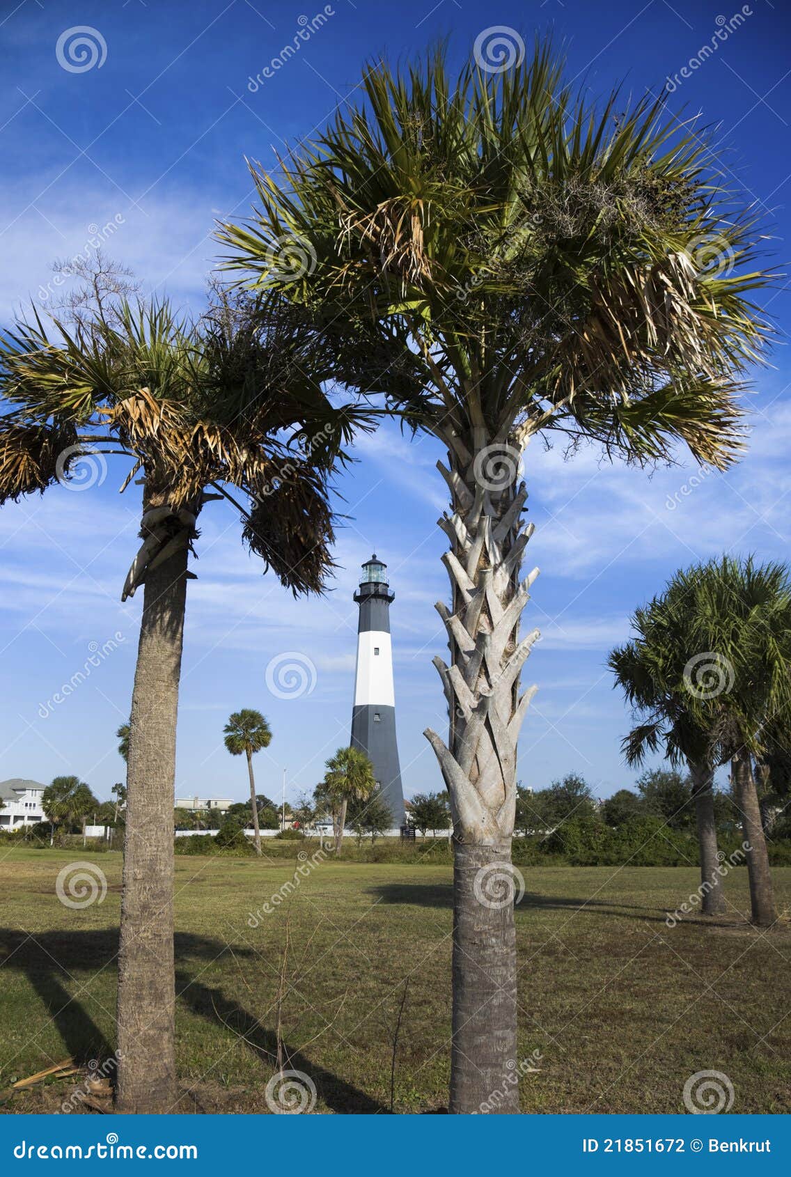 Tybee Island Lighthouse stock photo. Image of island - 21851672