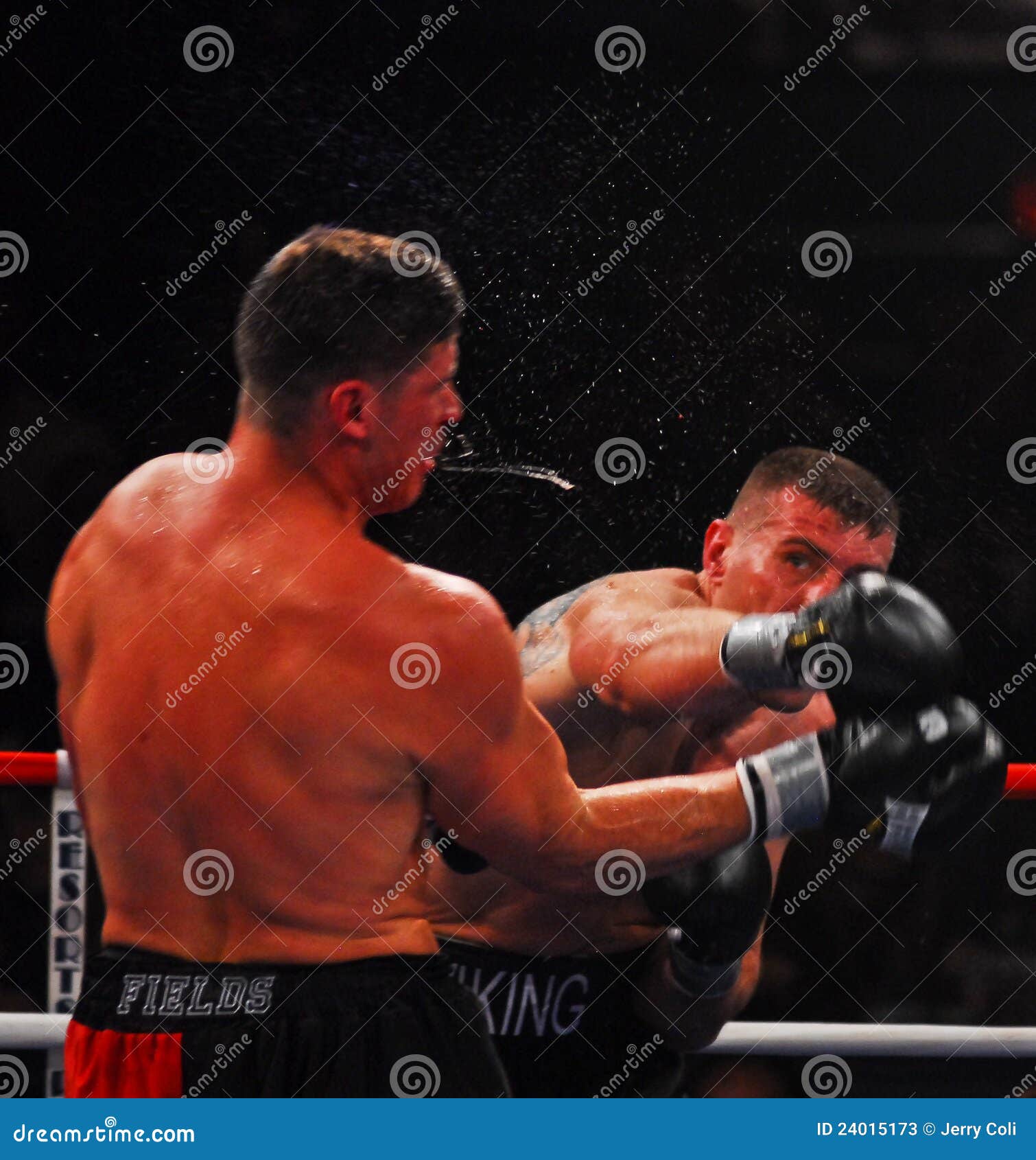 Tye Fields v. Mariusz Wach editorial stock photo. Image of gloves ...