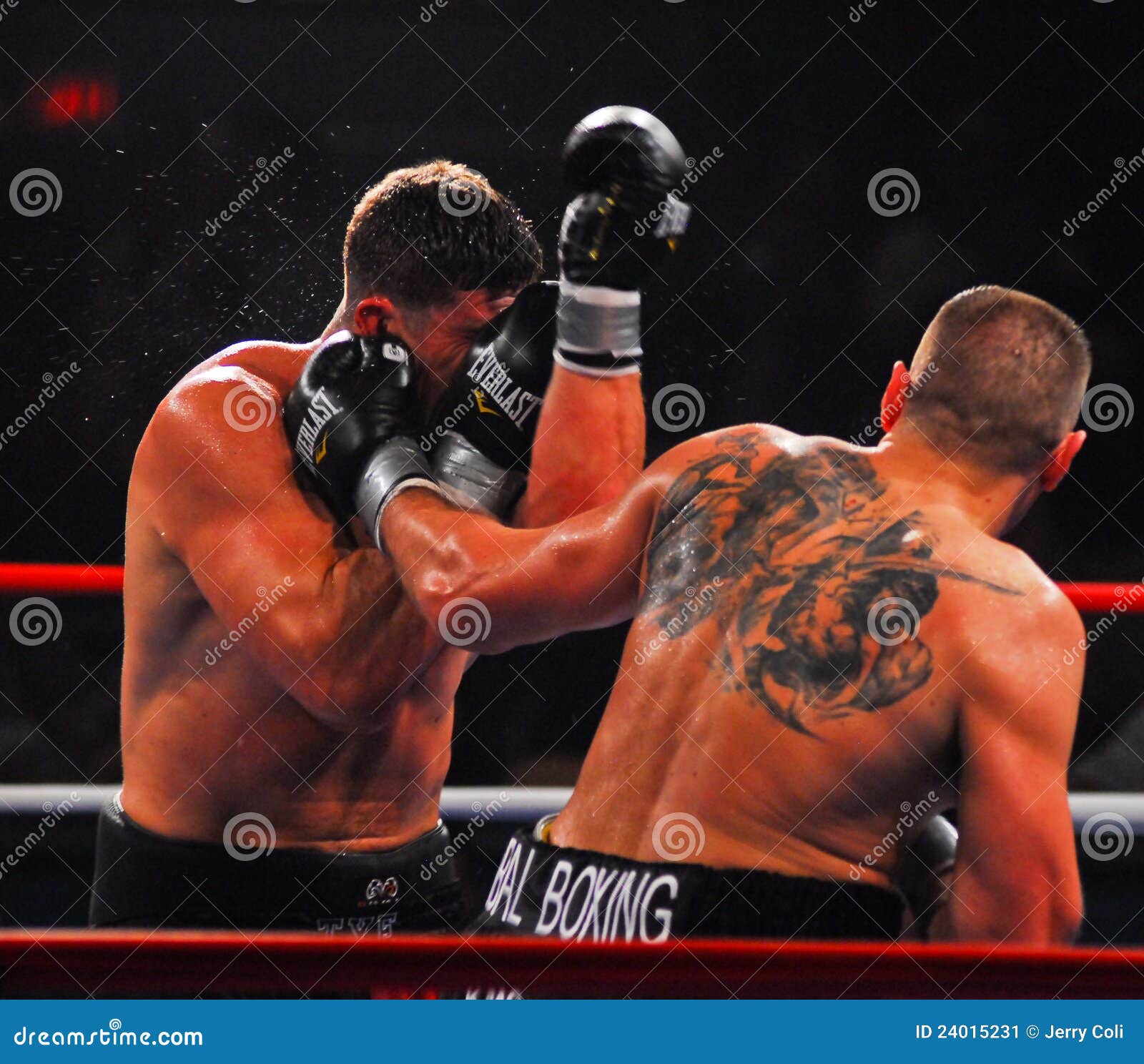 Tye Fields v. Mariusz Wach editorial photo. Image of athletes - 24015231