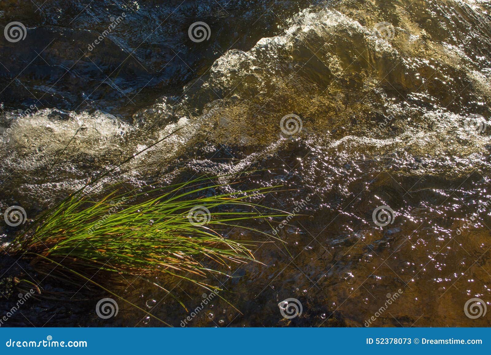 Tyenna River Tasmania stock image. Image of reflection - 52378073