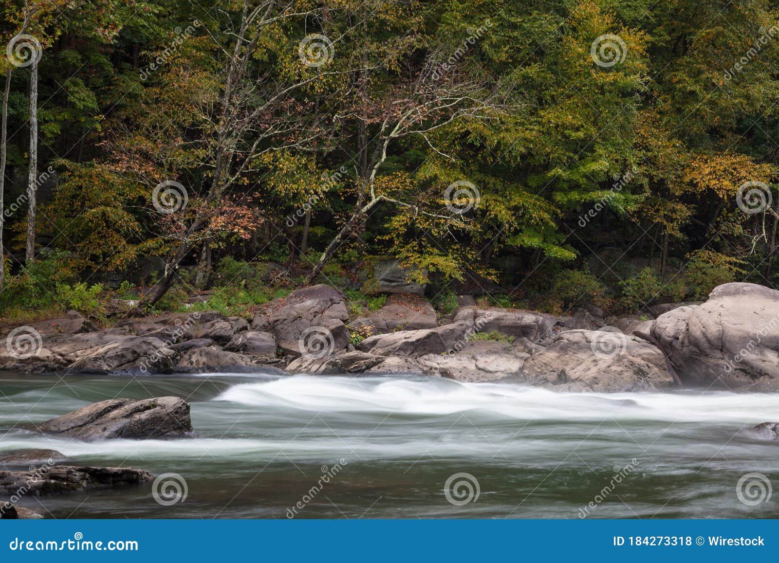 Tygart Valley River with Long Exposure Surrounded by Trees at Daylight ...