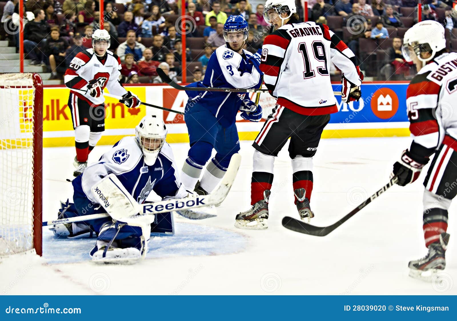 Tyler Graovac editorial image. Image of save, ottawa - 28039020