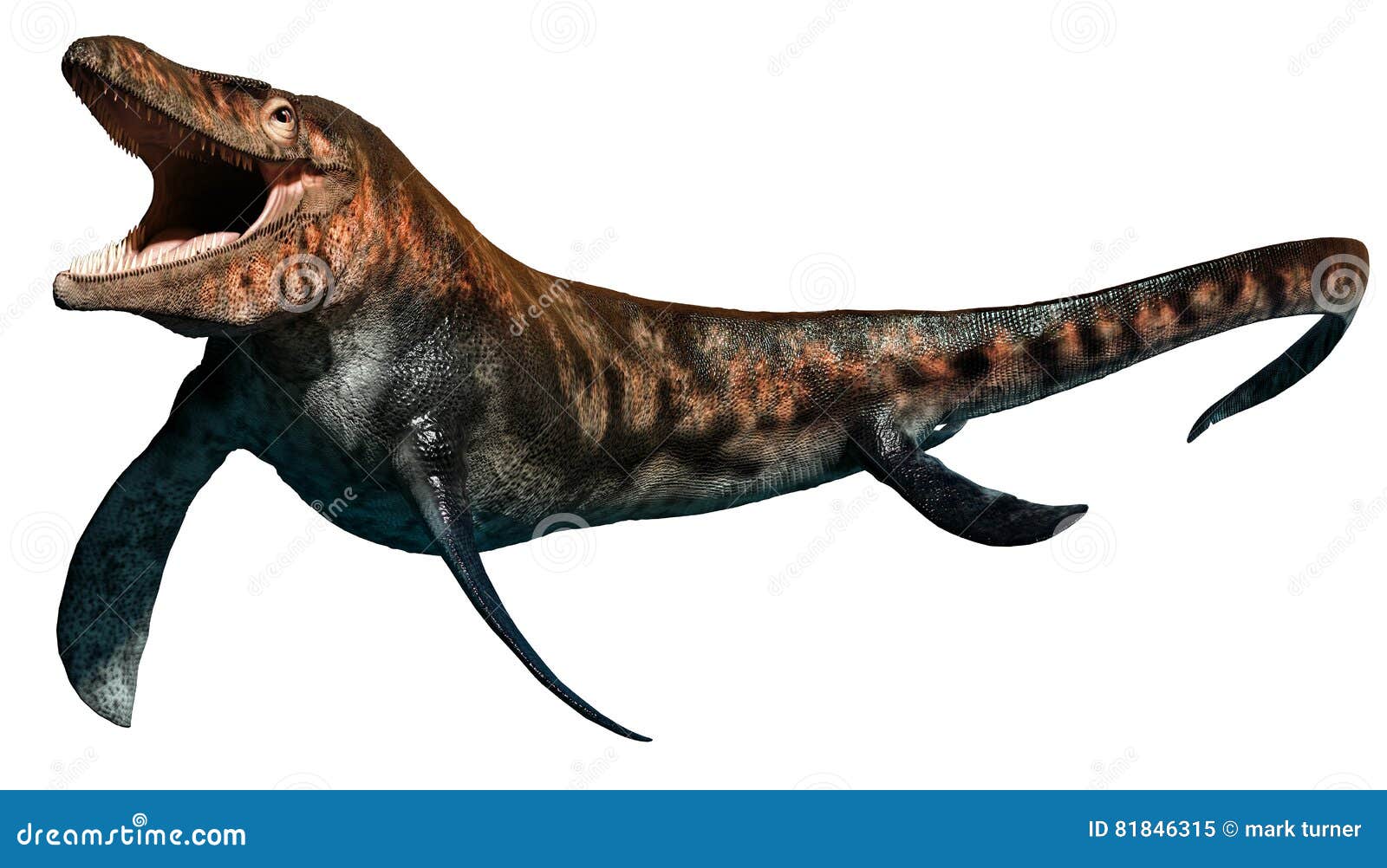 Tylosaurus stock illustration. Illustration of cretaceous - 81846315
