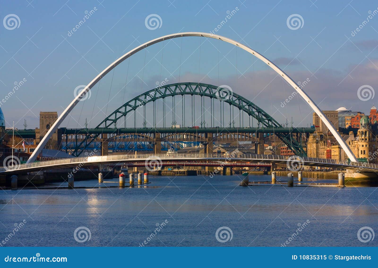 Tyneside Bridges editorial image. Image of water, venue - 10835315