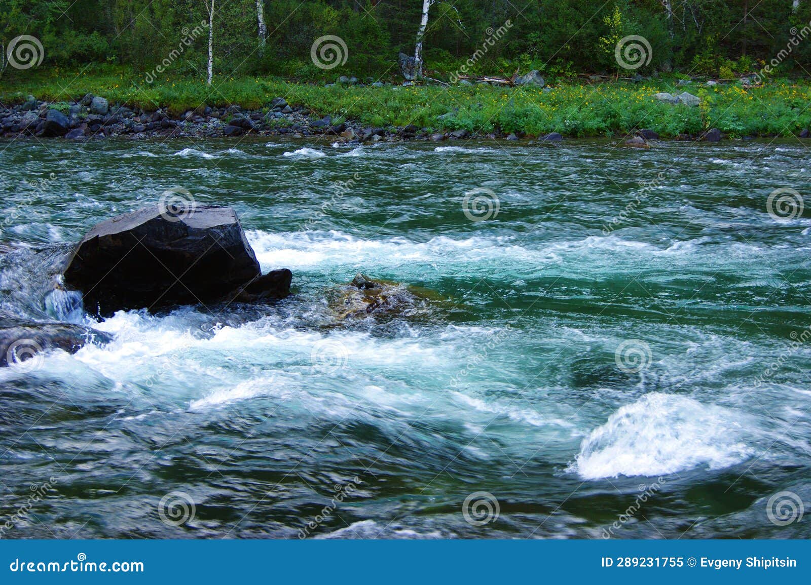 Type on Bugle River with Transparent Water Stock Image - Image of ...