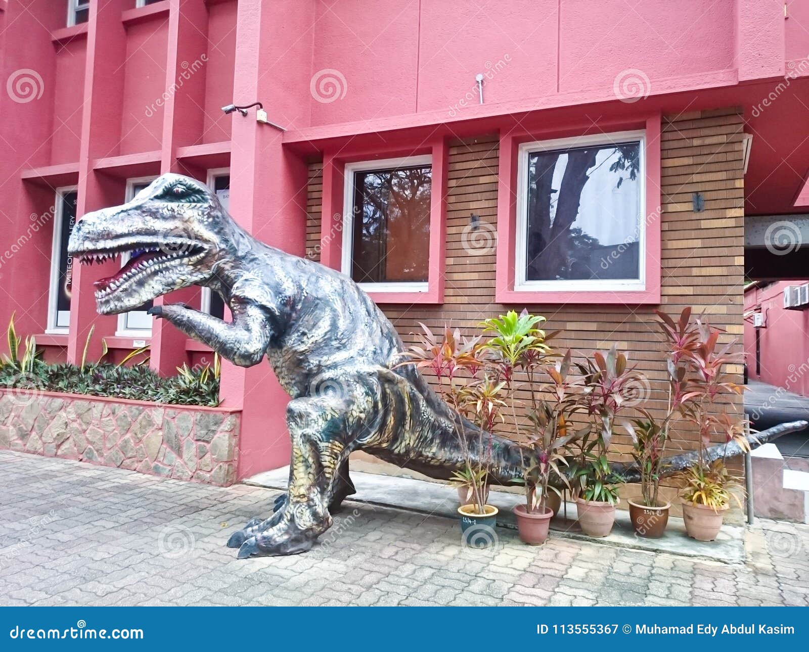 Type De T-rex De Reproduction De Dinosour Photographie éditorial ...