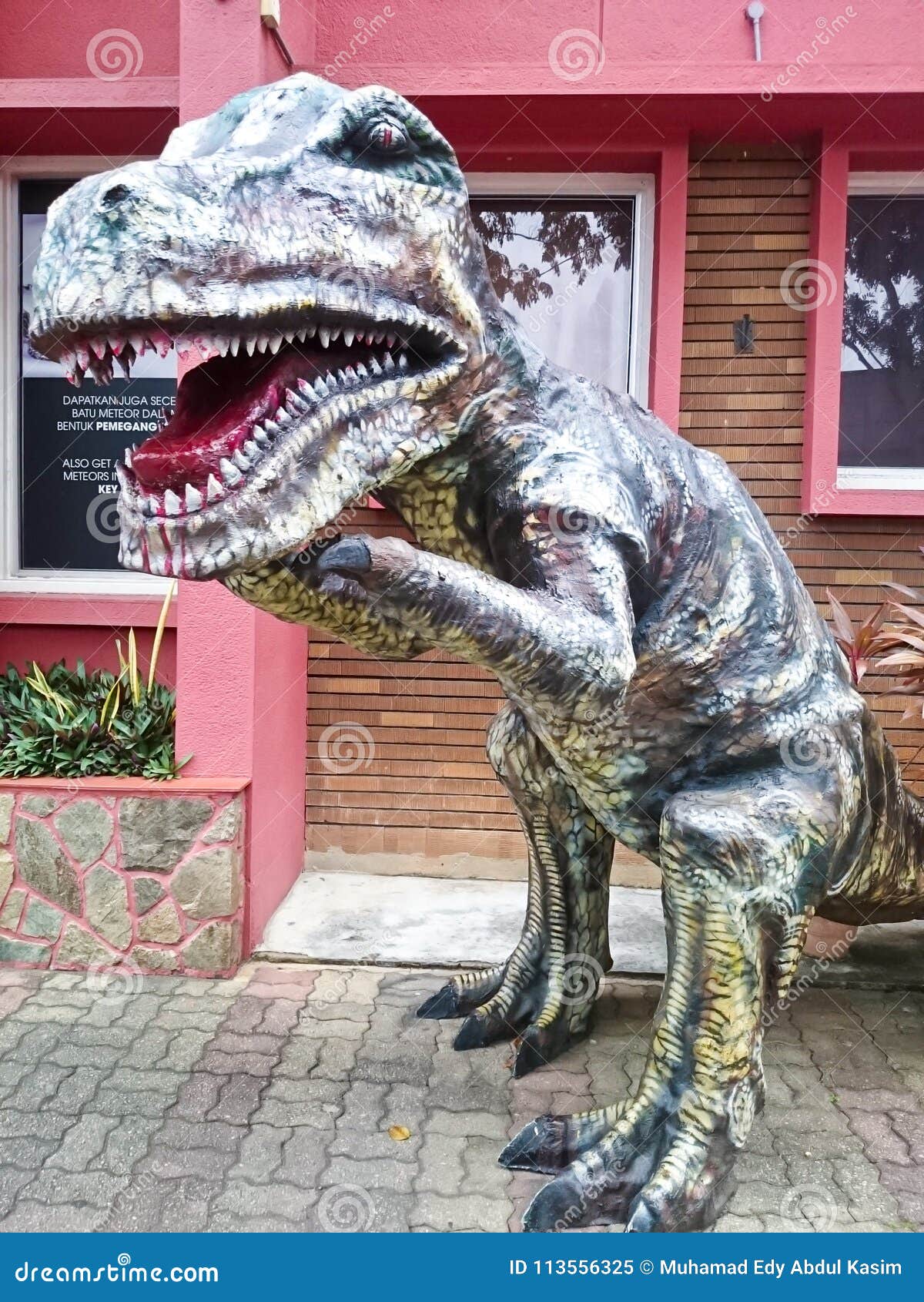 Type De T-rex De Reproduction De Dinosour Image éditorial - Image of ...