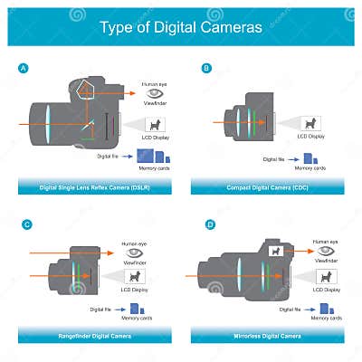 Type of Digital Cameras stock illustration. Illustration of equipment ...
